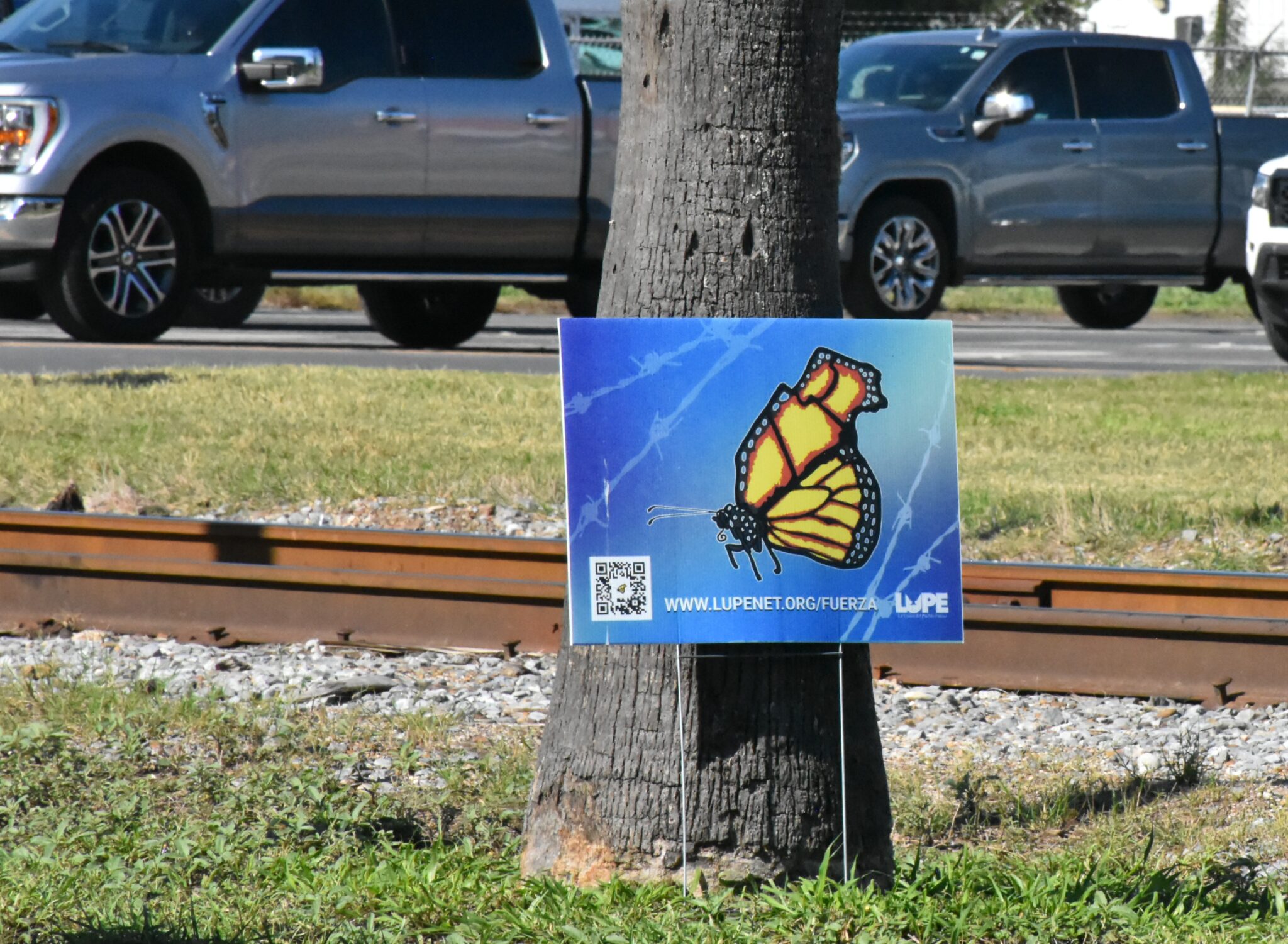 Rest in Power: When Cruelty Becomes Normal, Compassion Looks Radical ...